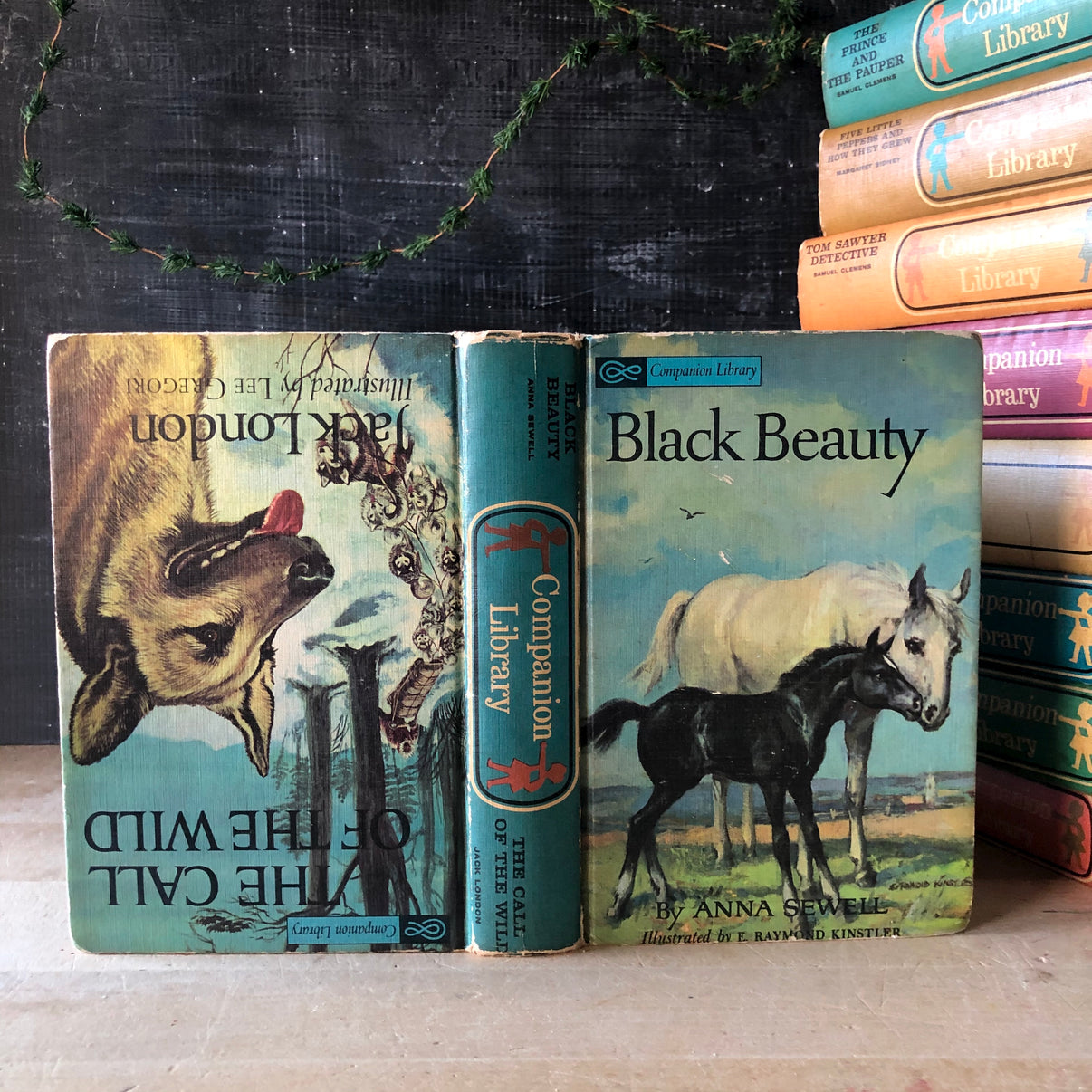 Companion Library Vintage Children's Books, Set of 12 (c.1963) – Rush ...